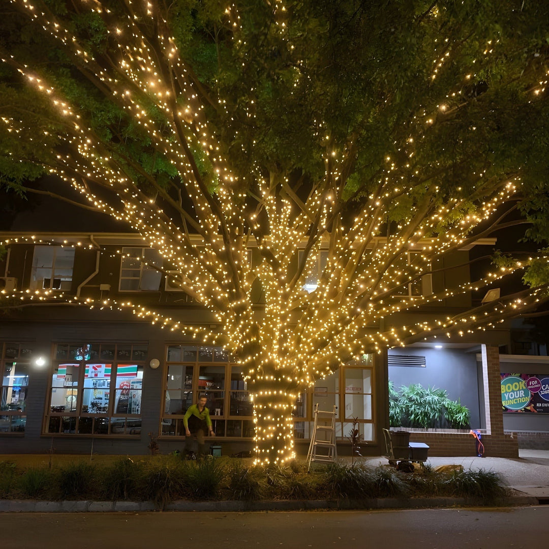 Outdoor Christmas Tree Lights – Love Your Lights